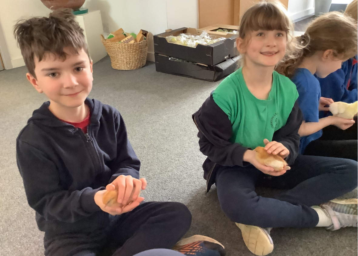 Overton CE Primary School - Year 3