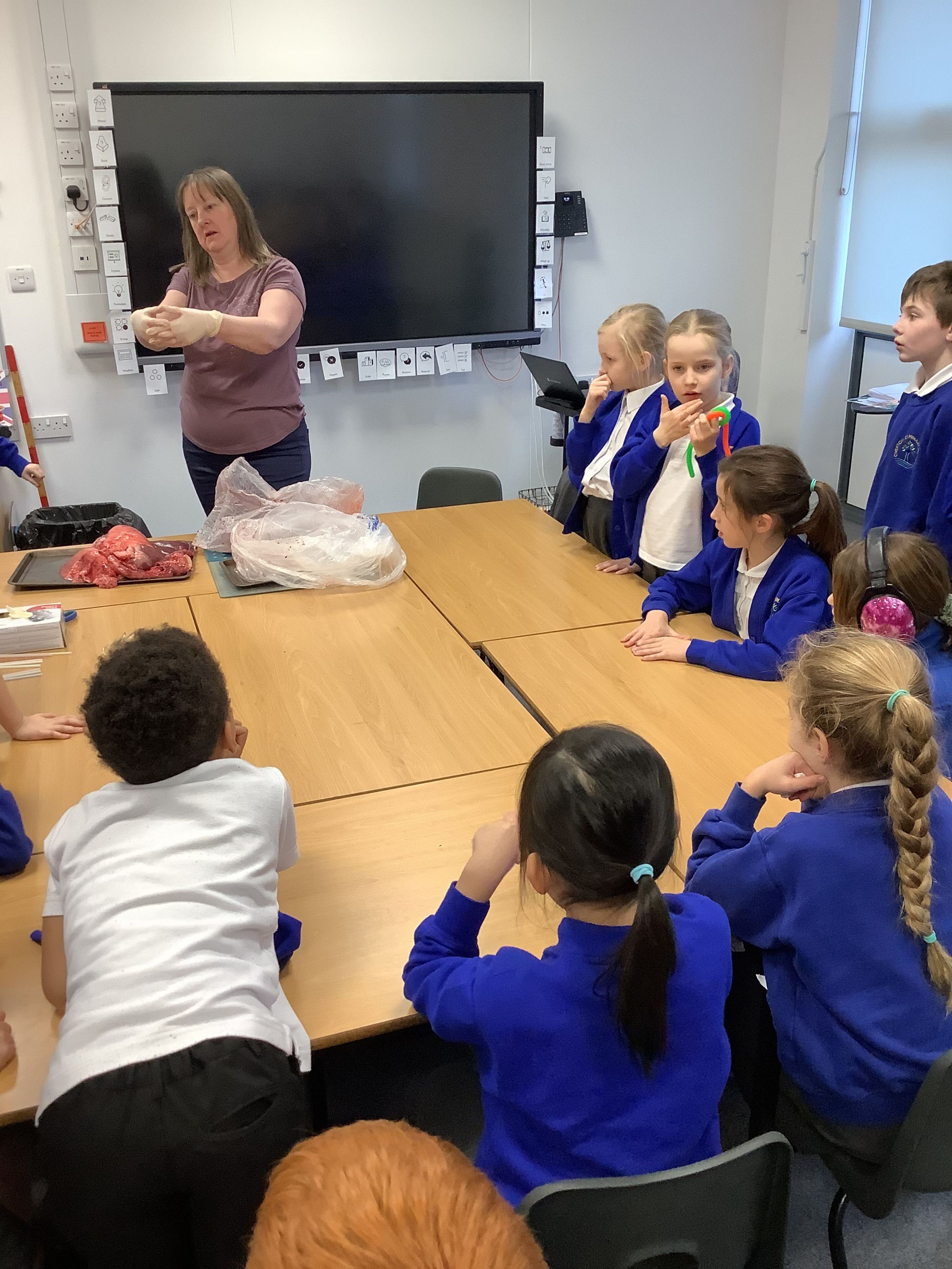 Overton CE Primary School - Year 3